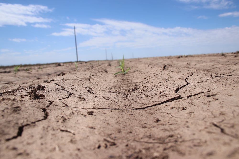 The Crisis Communications Guide for Agriculture, Food & Natural ...