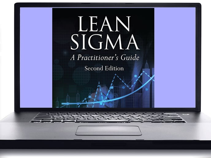 Lean Sigma: Rebuilding Capability in Healthcare | XanEdu